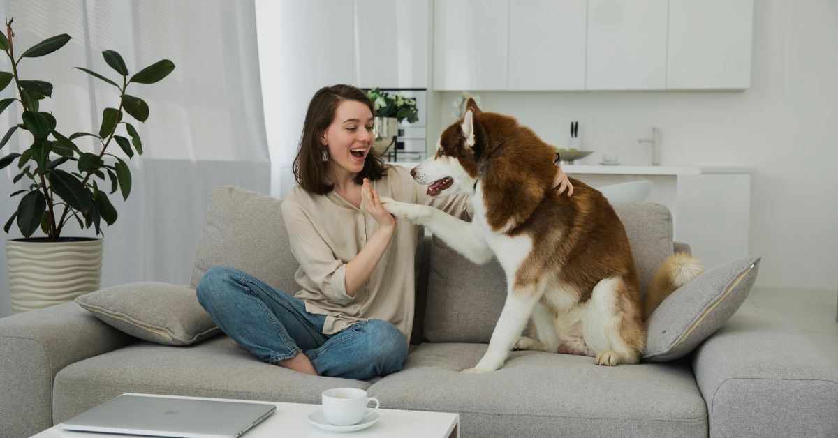 10 Ways Dogs Gently Soothe Our Minds And Souls - Dog Breed Pro