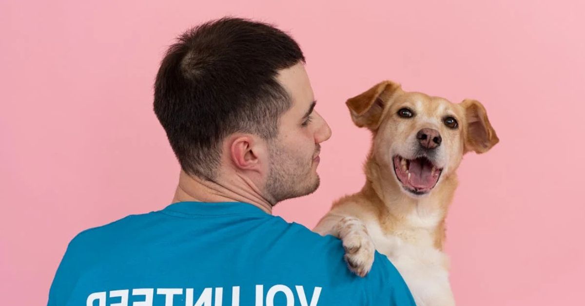 20 Methods to Protect Dogs From Abuse and Neglect - Dog Breed Pro