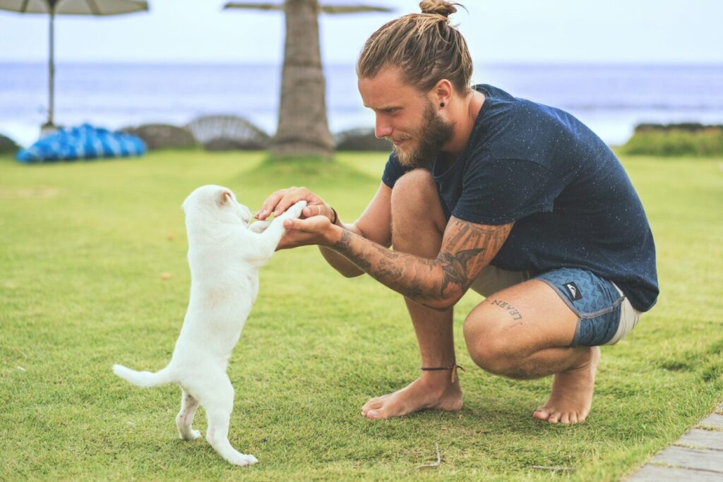 30 Reasons Dogs Prefer Certain People Over Others - Dog Breed Pro