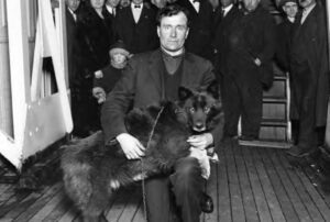 10 Heartwarming Tales Of Canine Loyalty That Will Leave You Teary-Eyed ...