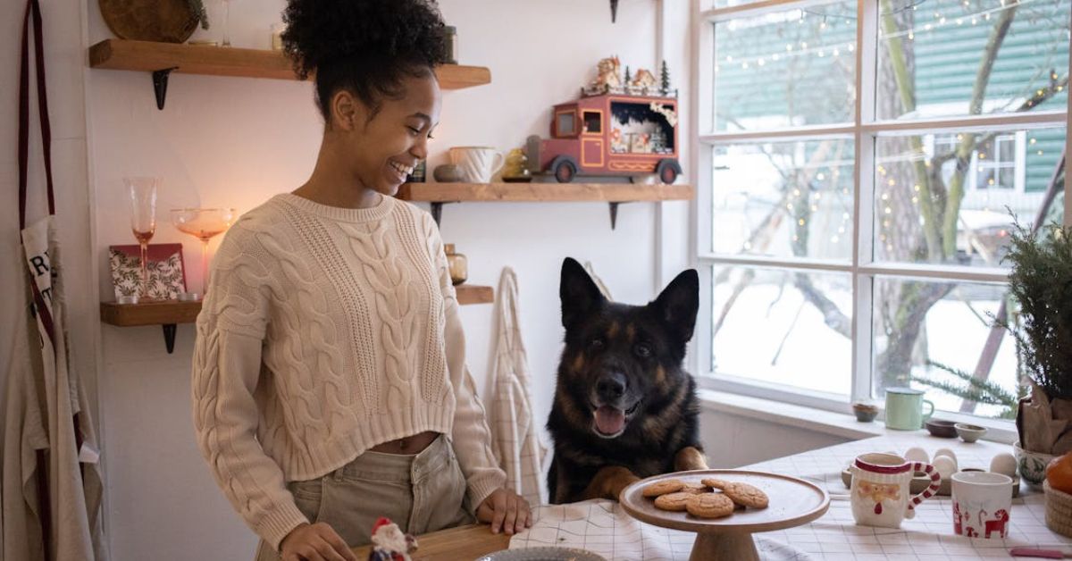 10 Golden Rules For Cooking Dog-Friendly Meals At Home - Dog Breed Pro