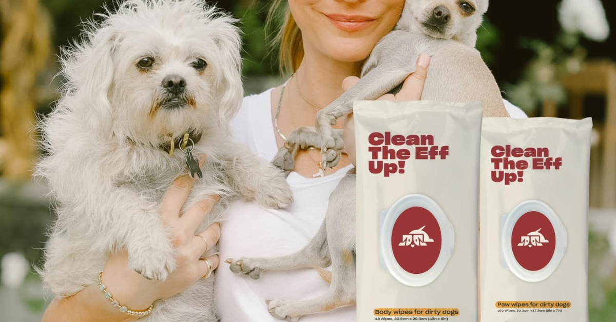 10 Best Dog Wipes In The Market For Everyday Grooming - Dog Breed Pro