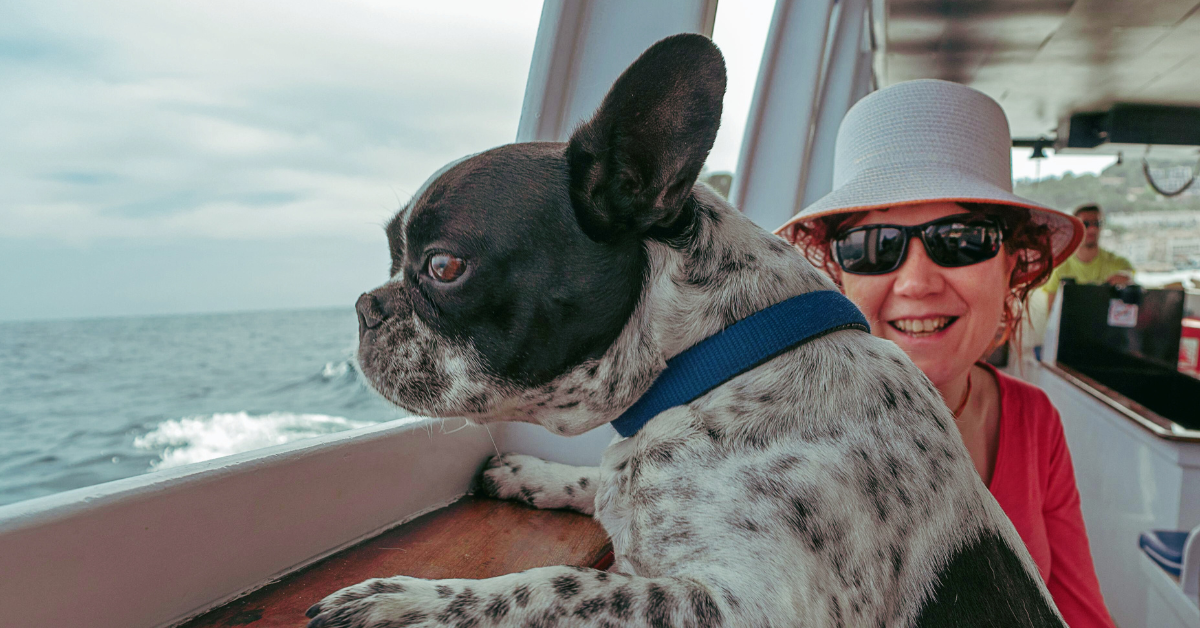 10 Pet-Friendly Cruises For Dogs Of All Sizes - Dog Breed Pro