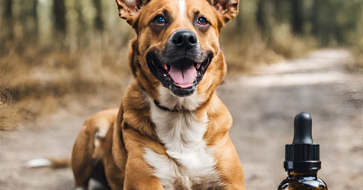 10 Ways Aromatherapy Can Improve Your Dog's Life - Dog Breed Pro