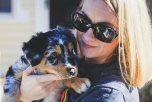 10 Things Every Future Mini Aussie Owner Needs To Know - Dog Breed Pro