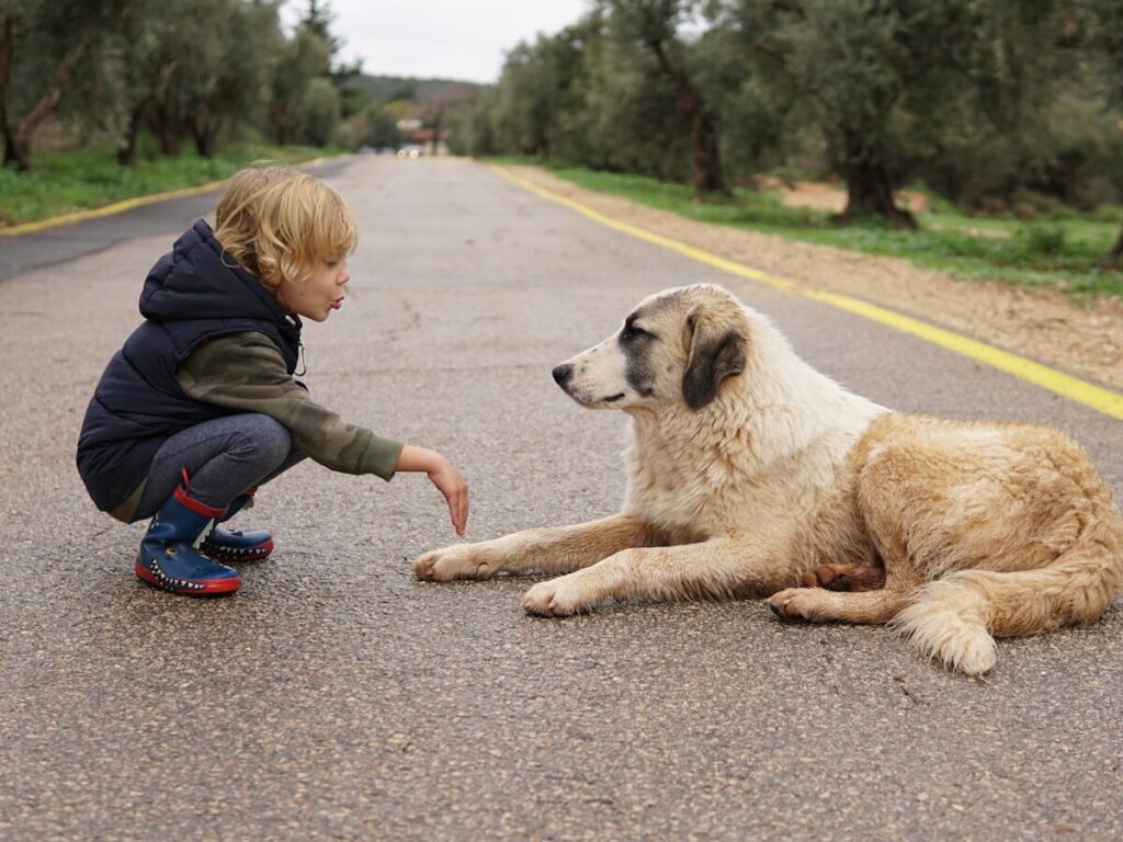 20 Reasons Some People Say “Dogs Are Better Than Humans” - Dog Breed Pro