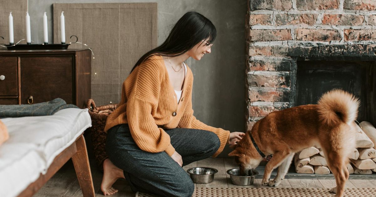 10 Human Foods That Are Highly Nutritious For Your Dog - Dog Breed Pro