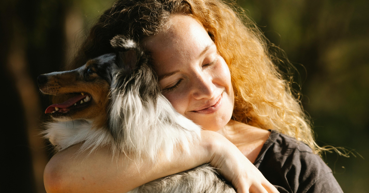 20 Dogs That Play And Work Well With Humans - Dog Breed Pro