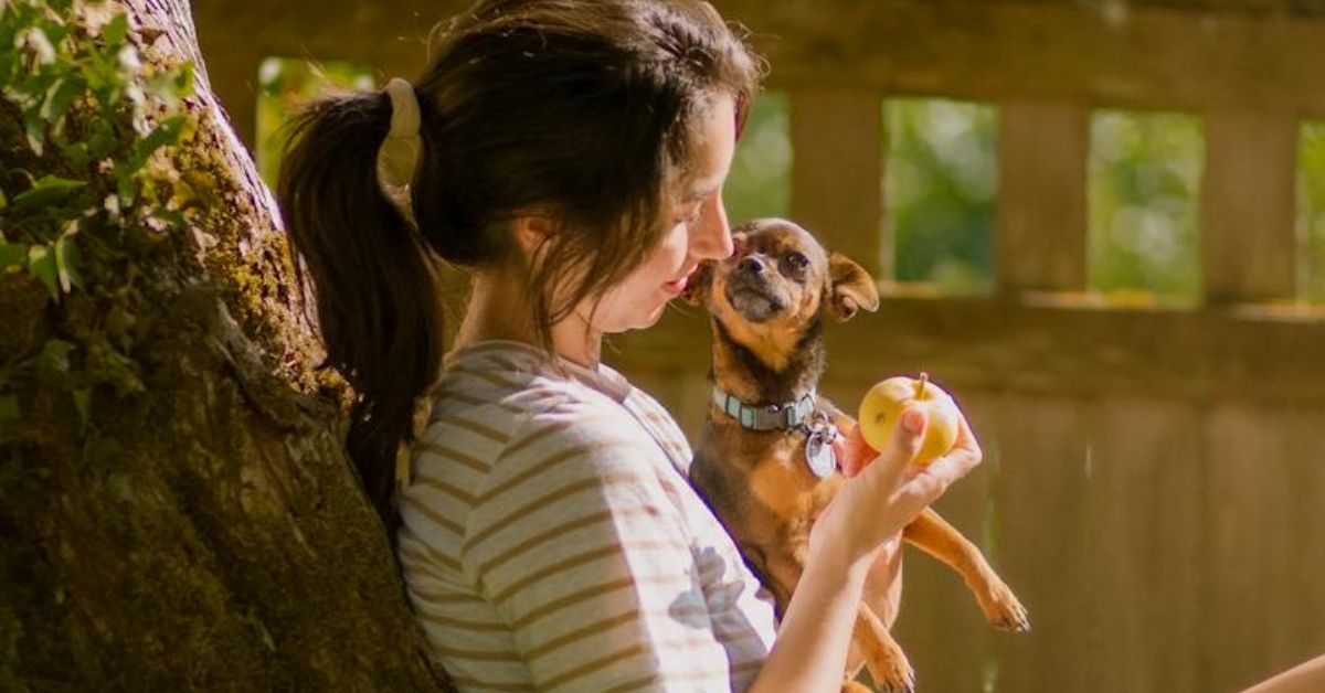 10 Kitchen Staples That Are Great For Your Dog’s Health - Dog Breed Pro