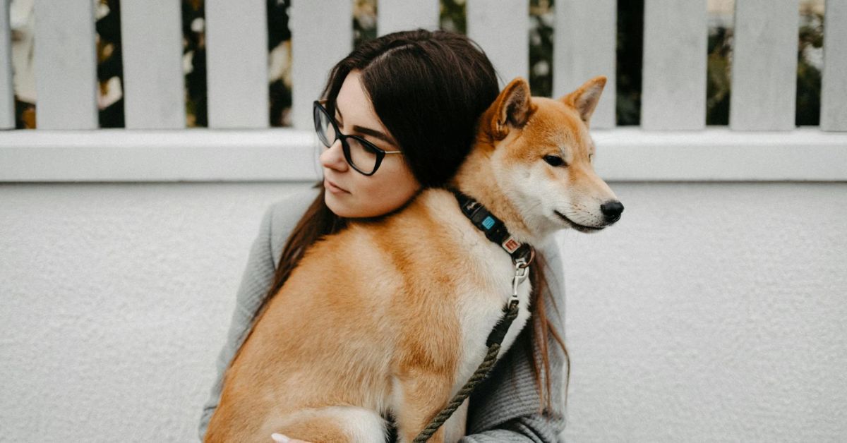 10 Ways A Dog May Be Impacted By Its Owner's Anxiety - Dog Breed Pro