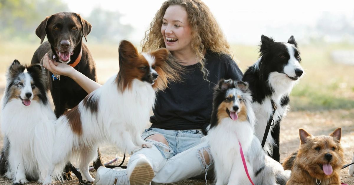 The 10 Positive Effects Of Dogs On Human Life - Dog Breed Pro