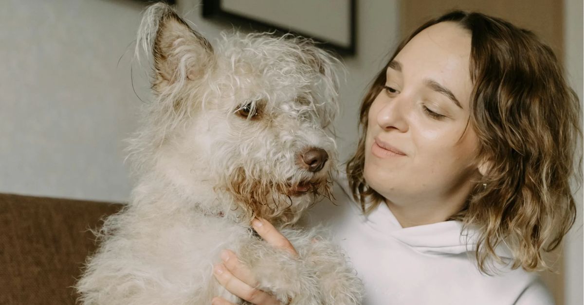 10 Ways To Shield Your Pup From Pesky Parasites - Dog Breed Pro