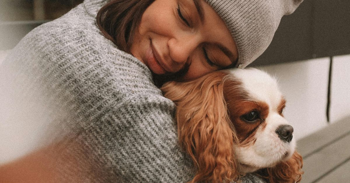 10 Gentle Dog Breeds Who Love Peace And Quiet - Dog Breed Pro