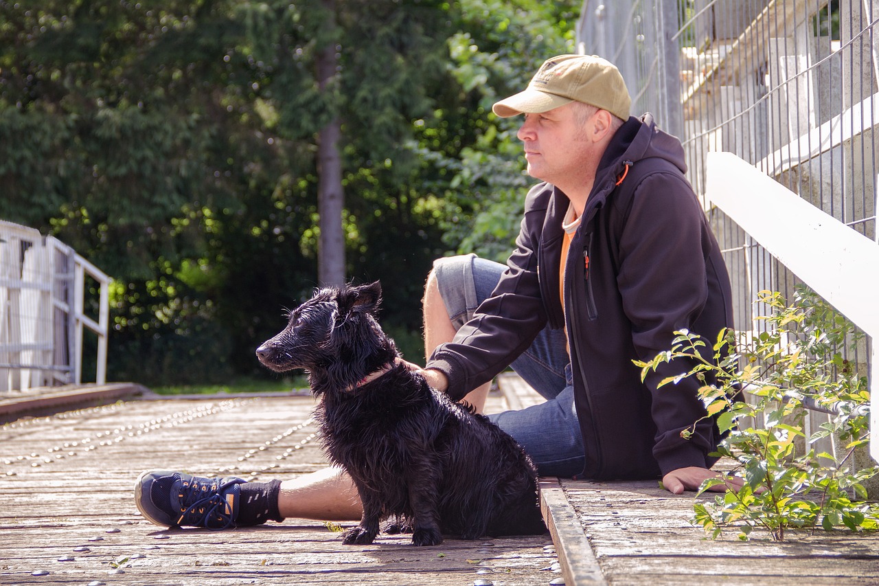 30 Reasons Why Dogs Are the Best Pets - Dog Breed Pro