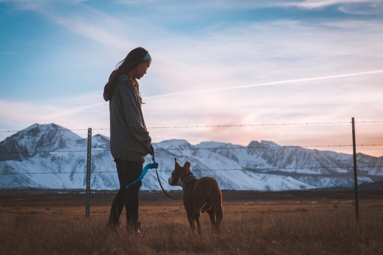 30 Reasons Why Dogs Are the Best Pets - Dog Breed Pro
