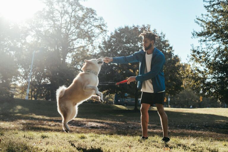 30 Dog Training Tips Every New Owner Should Know - Dog Breed Pro