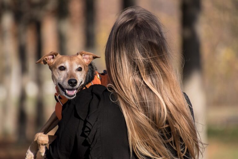 30 Reasons Why Dogs Are the Best Pets - Dog Breed Pro
