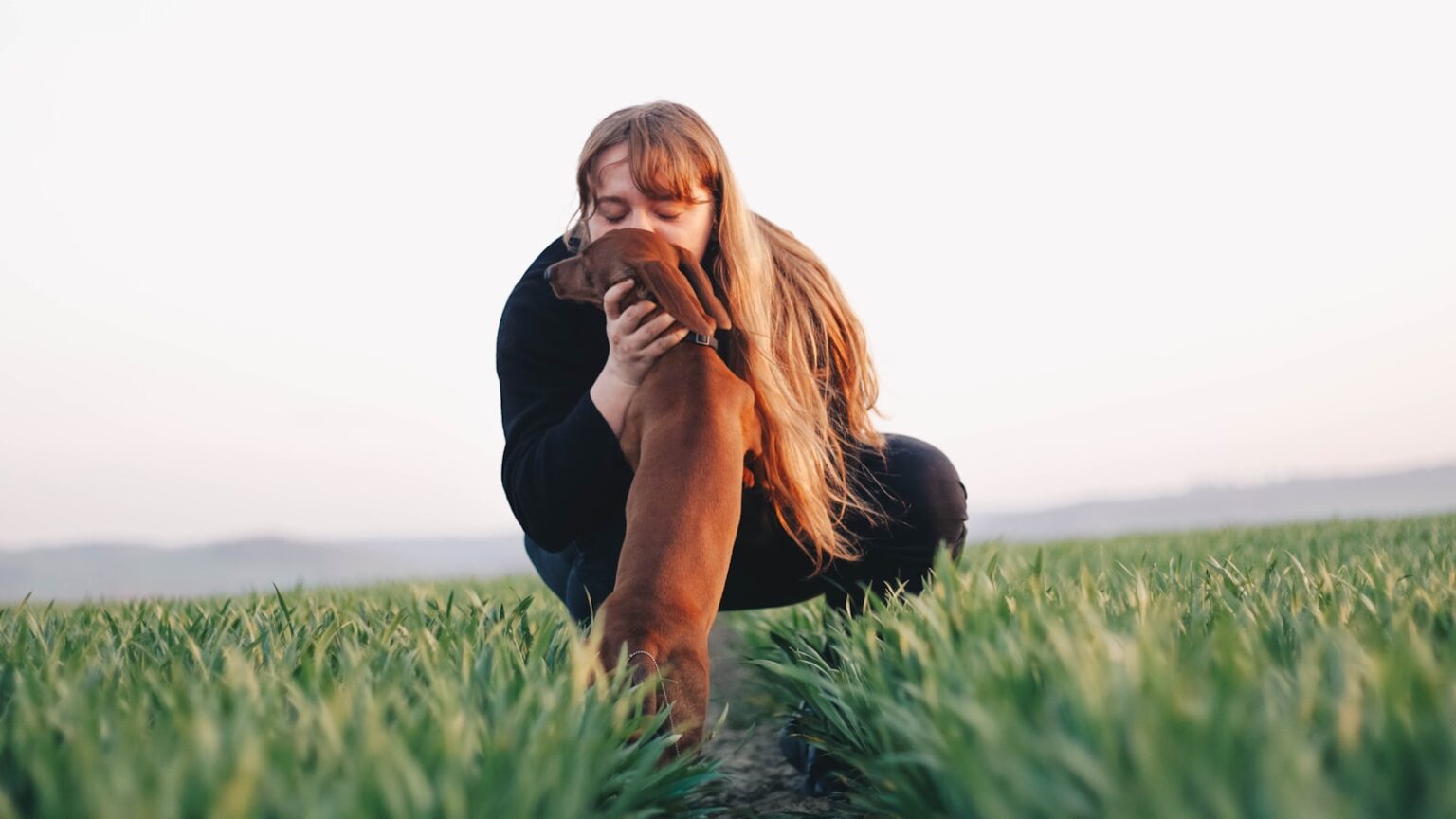 30 Reasons Why Dogs Are the Best Pets - Dog Breed Pro