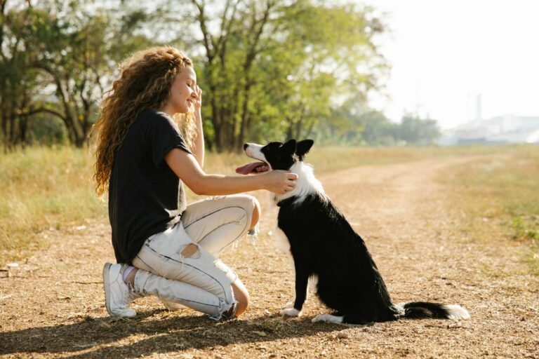 30 Dog Training Tips Every New Owner Should Know - Dog Breed Pro