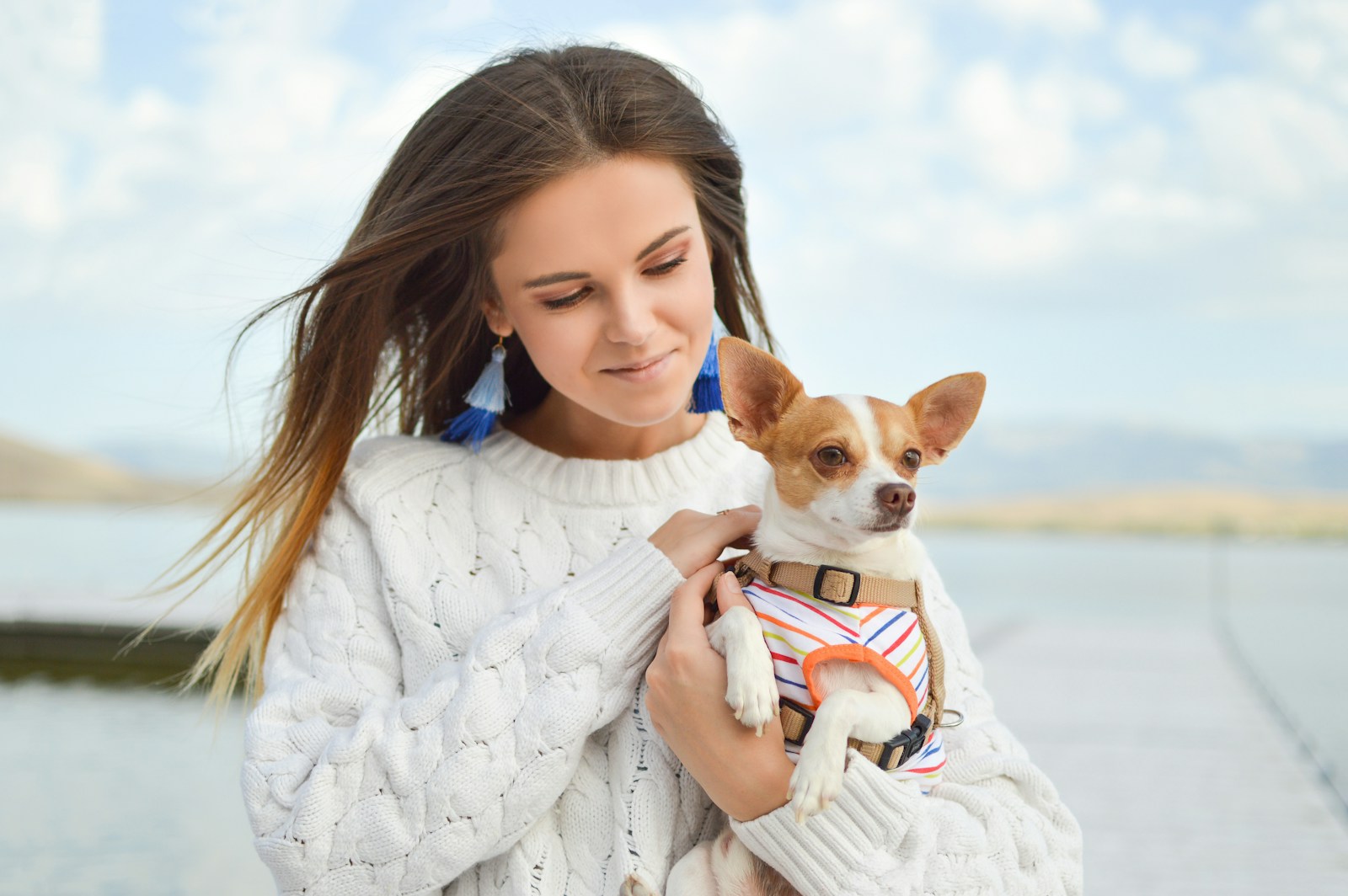 30 Reasons Why Dogs Are the Best Pets - Dog Breed Pro