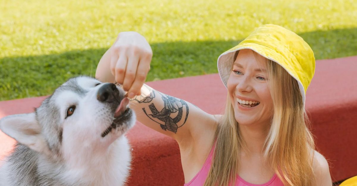 10 Effective Ways To Relax Your Hyperactive Dog - Dog Breed Pro