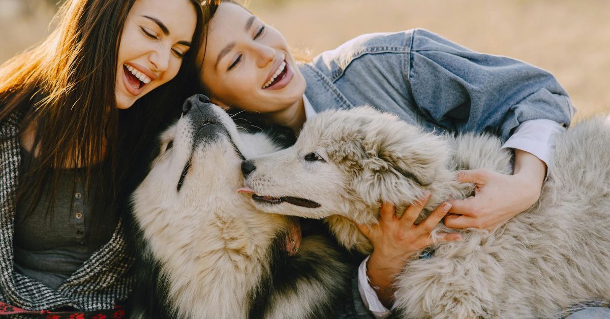 10 Ways To Know Your Dog Thinks You're Their Best Friend - Dog Breed Pro