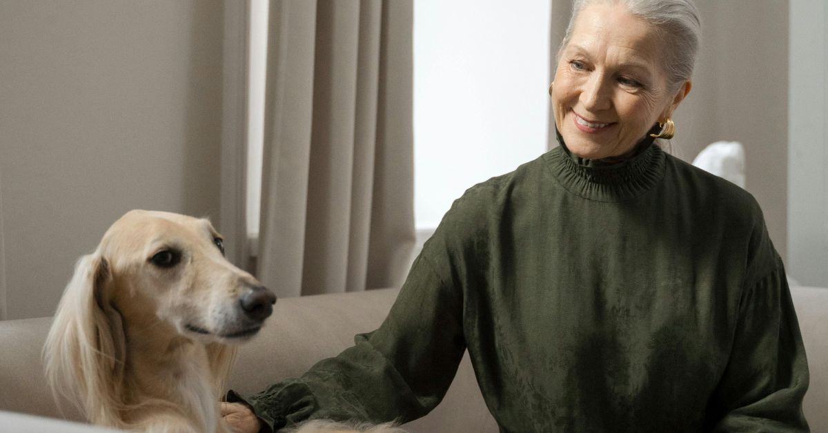 10 Big Dogs That Fit A Relaxed Senior Lifestyle - Dog Breed Pro