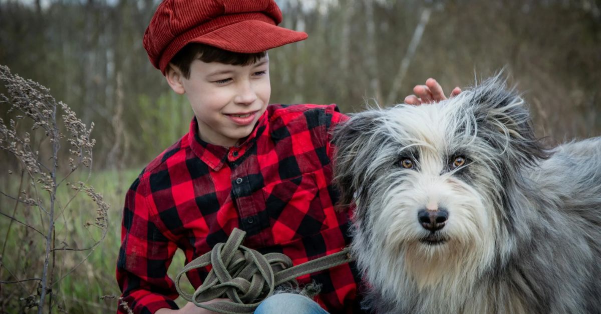 10 English Dogs That Know How To Be Your Best Friend - Dog Breed Pro