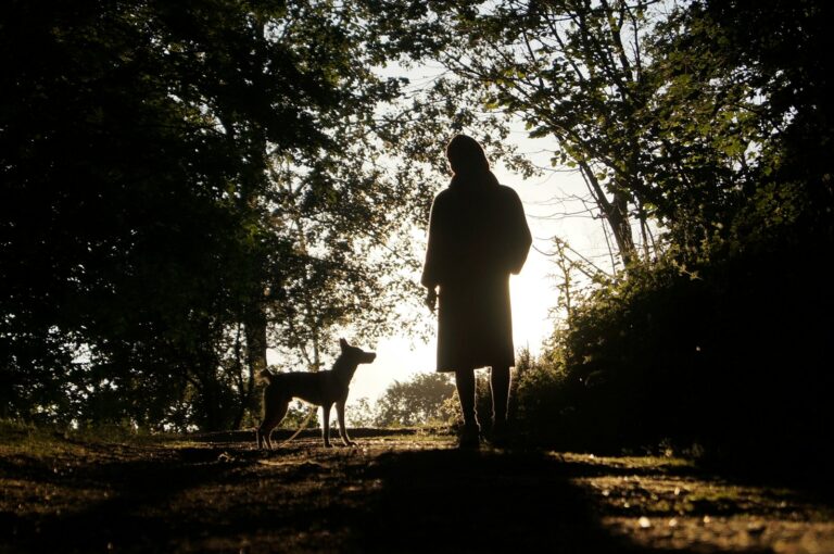 30 Reasons Why Dogs Are the Best Pets - Dog Breed Pro