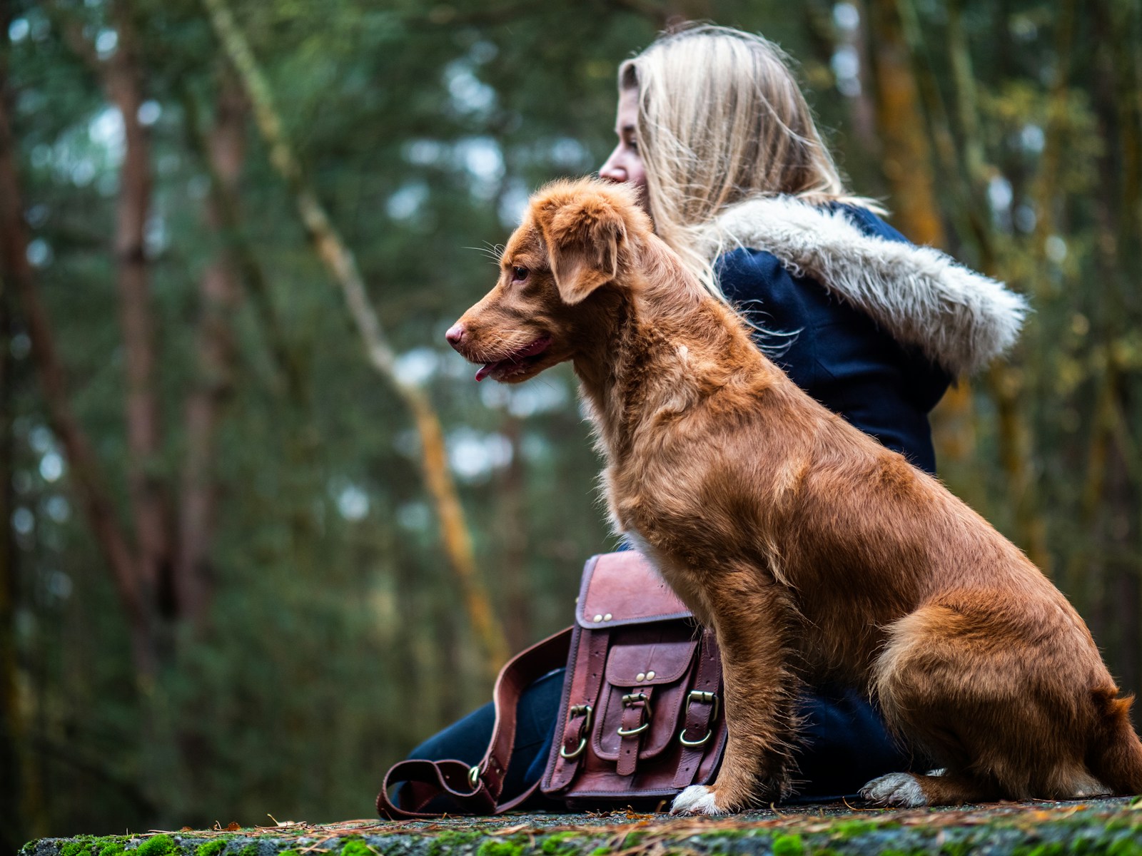 30 Reasons Why Dogs Are the Best Pets - Dog Breed Pro