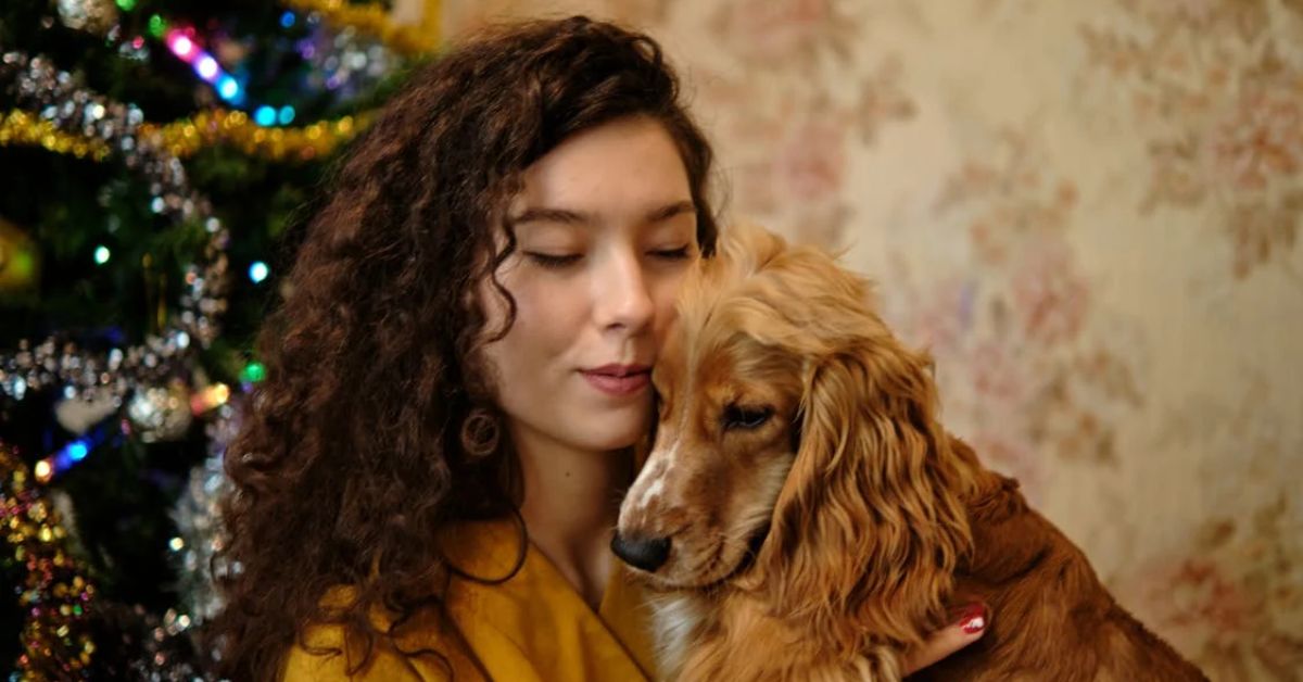 10 Things Only Cocker Spaniel Owners Understand - Dog Breed Pro