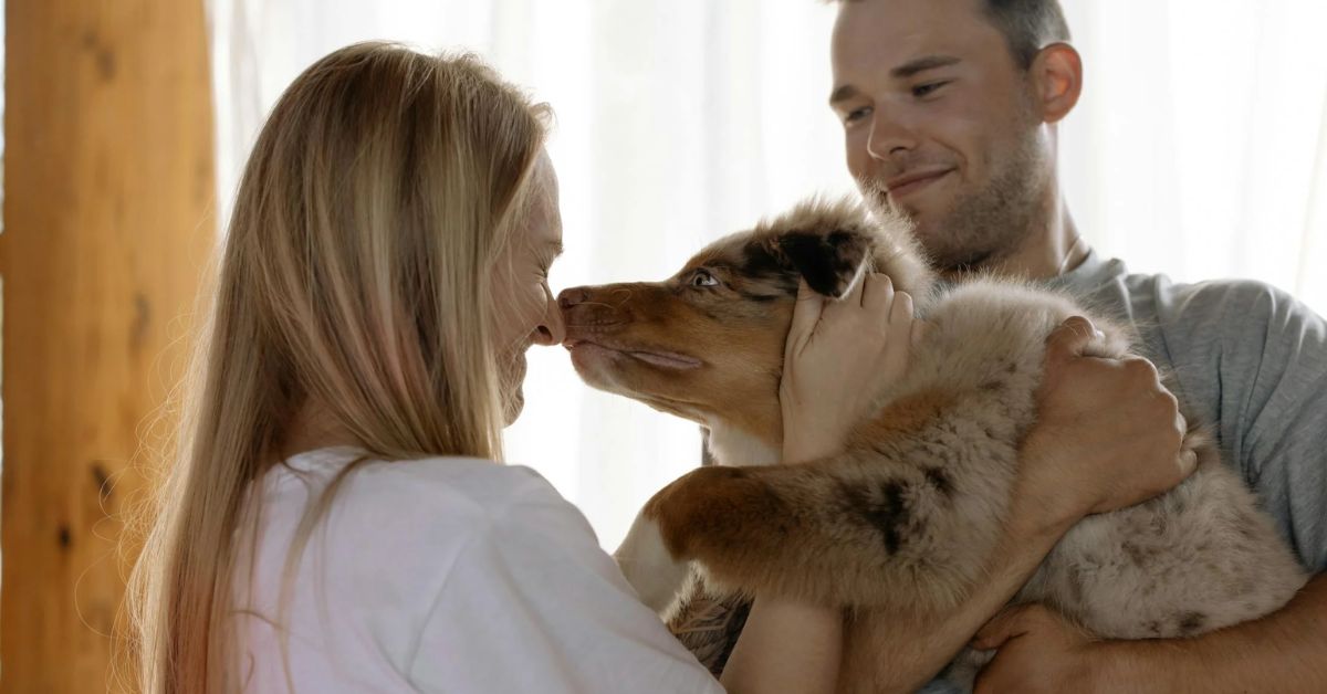 10 Respectful Habits That Dog Owners Truly Appreciate - Dog Breed Pro