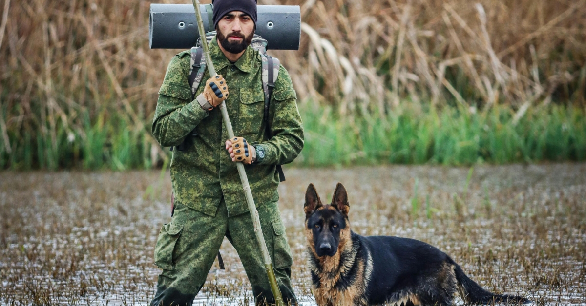 What PTSD Service Dogs Do And Why Veterans Rely On Them - Dog Breed Pro