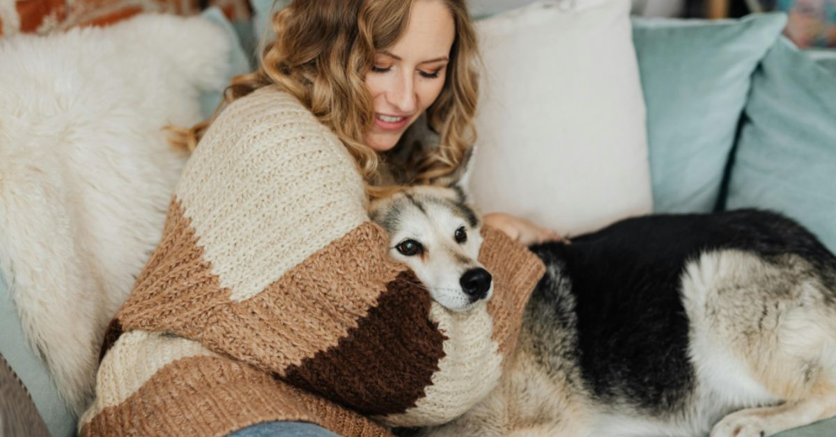 10 Habits That Reveal An Irresponsible Dog Owner - Dog Breed Pro