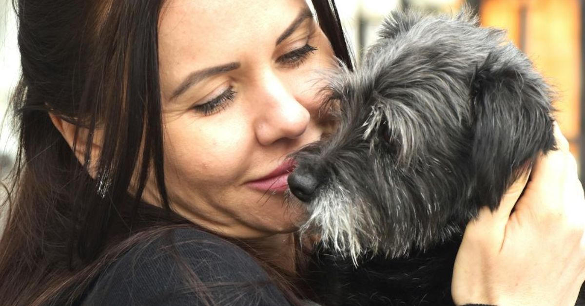 20 Age-Related Dog Changes You’ll Be Glad You Understood Early - Dog ...