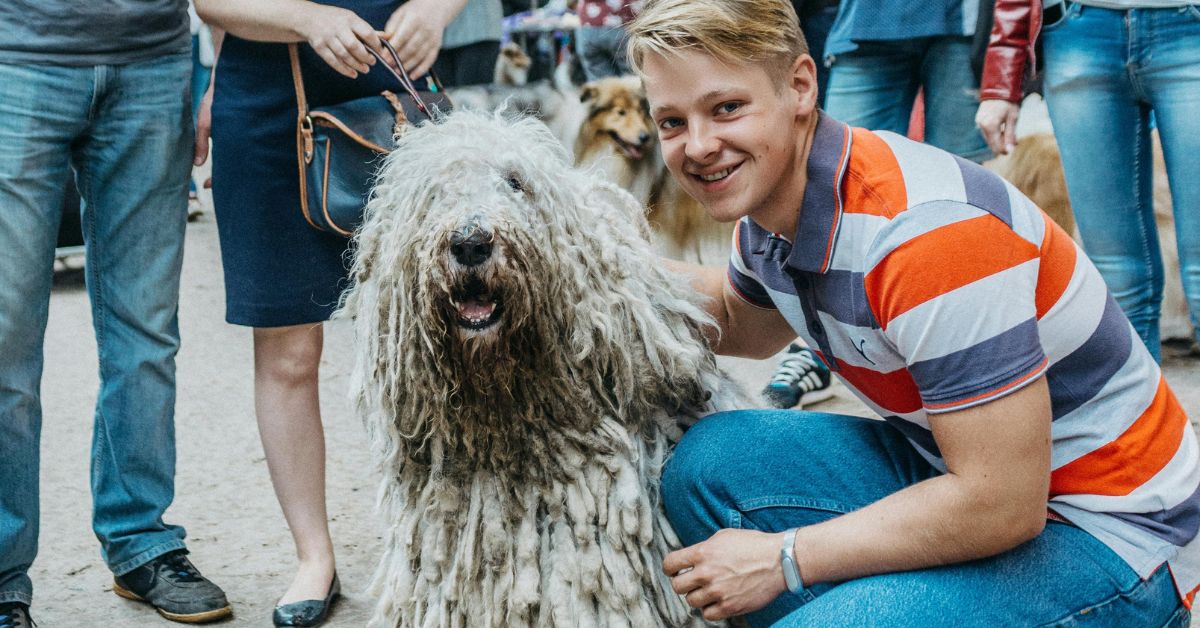 10 Pups That Could Sweep Your Floors - Dog Breed Pro